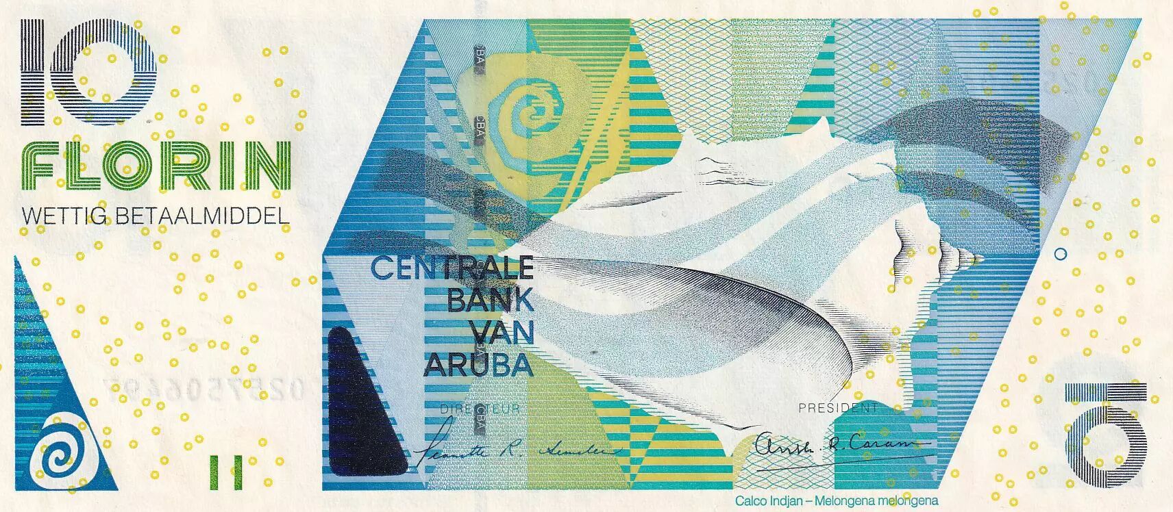 Banknote Aruba 10 Florin - Shell - Aruban art - 2003 - P.16