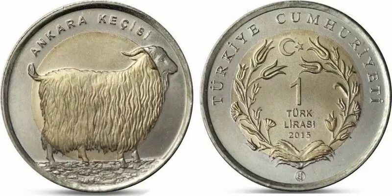 Coin Turkey